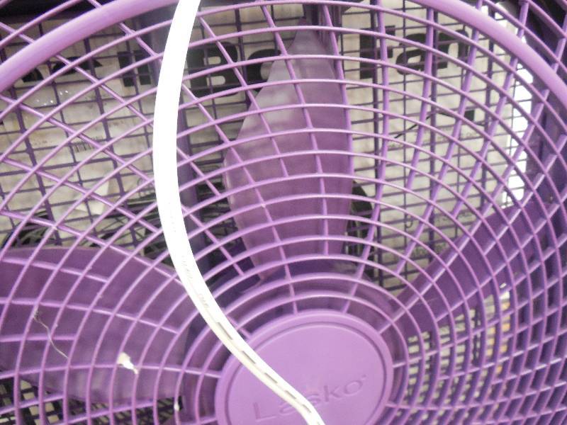 Lasko Cool Colors 20" Box Fan, Purple | General Merchandise / Tools ...
