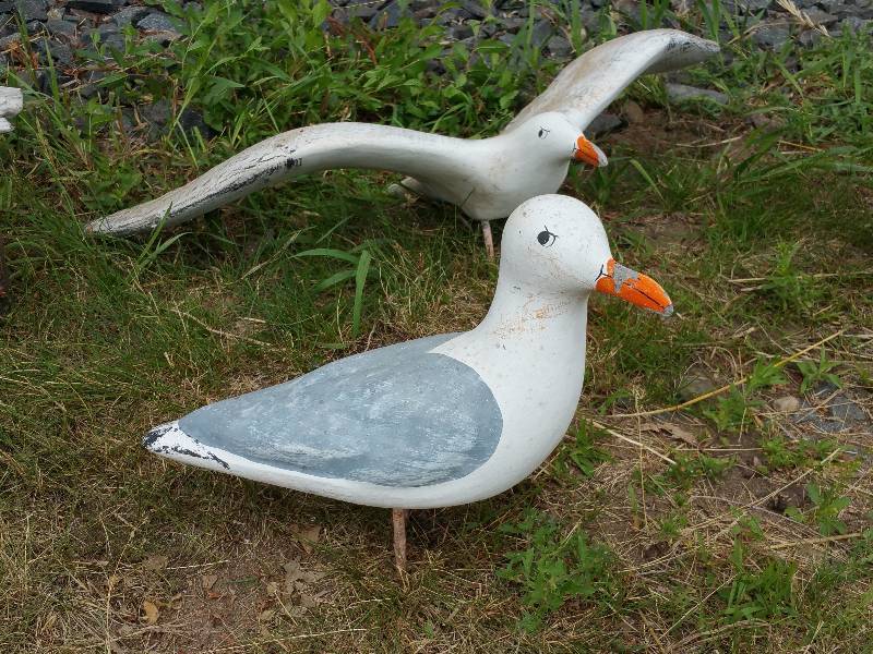 Concrete Seagull Lawn Décor | Wood Carvings, Native American, Deer ...