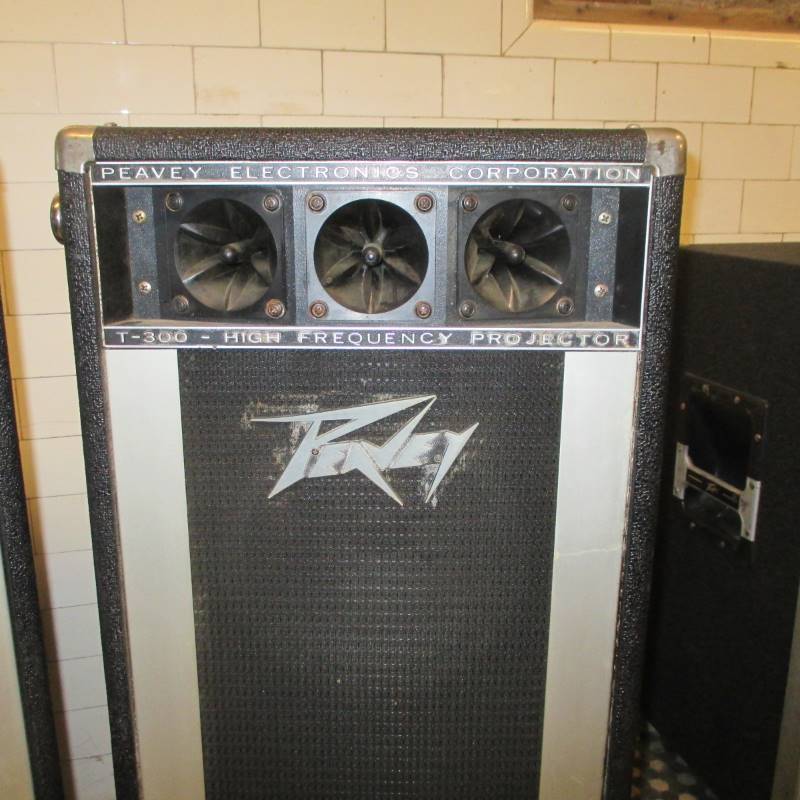 (2) Peavey T-300 Speakers | DJ, Entertainment & Presentation Equipment ...