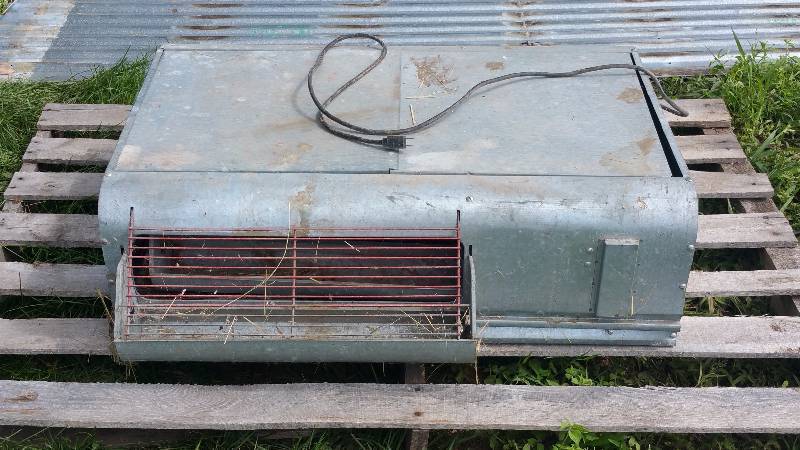 Vintage Brower Brooder Model 1680-2 | Farm Auction | 1999 GMC Truck ...