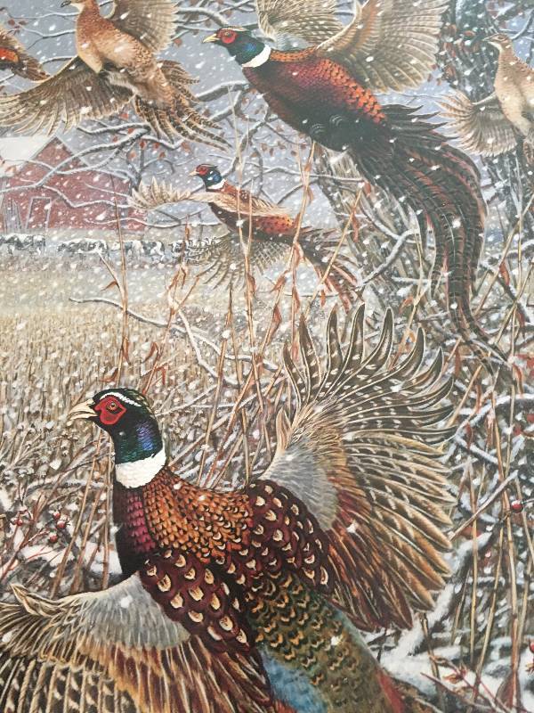 The Wild Side Print "The Storm" Ringnecked Pheasants by James A. Meger ...