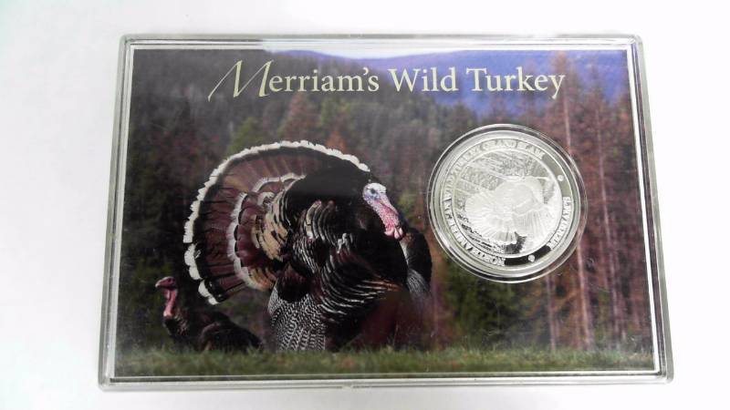 Grand Slam North American Wild Turkey - Merriams Wild Turkey ...