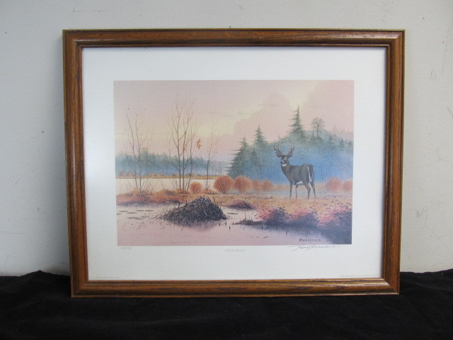 Framed Signed & Numbered JERRY RAEDEKE Wildlife Print | LITTLE CANADA ...
