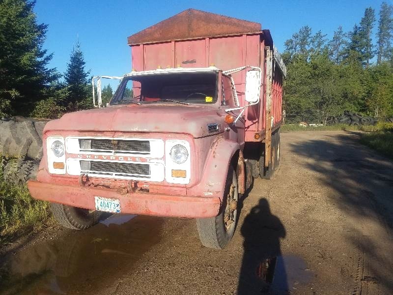 1970 Chevy C60 Grain Truck | Hunting Lease, Combine, Grain Truck and ...