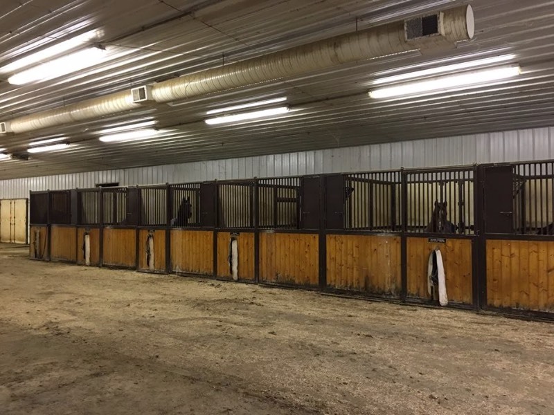 Horse Stall Auction | K-BID