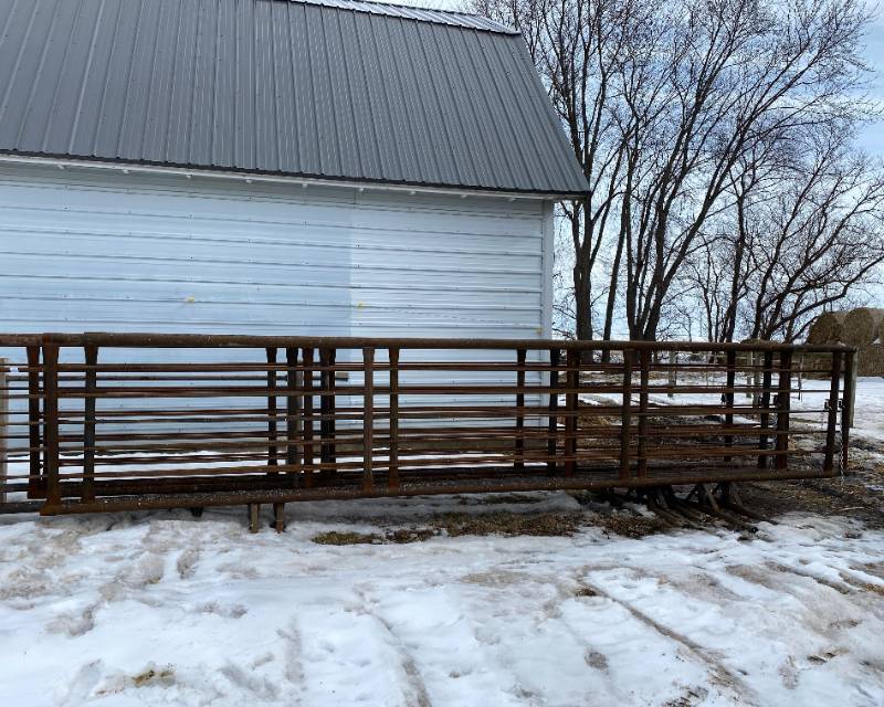 Oil Pipe Fencing for Cattle Feedlots | K-BID