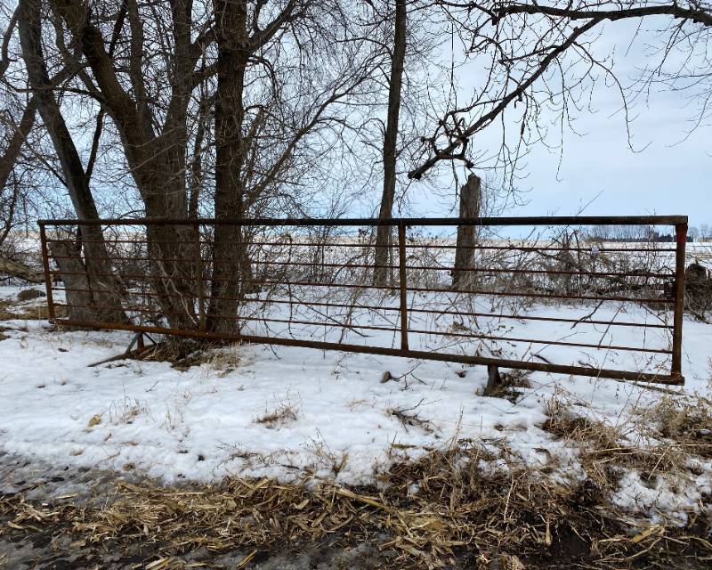 Oil Pipe Fencing for Cattle Feedlots | K-BID