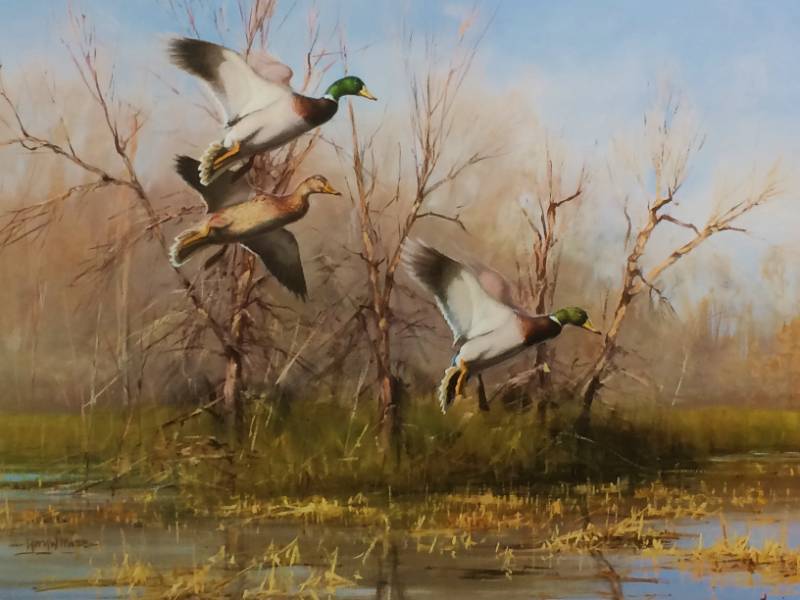 #1317 FABULOUS WATERFOWL ART PRINT #2 AUCTION - TOP NAMES JOE & JIM ...