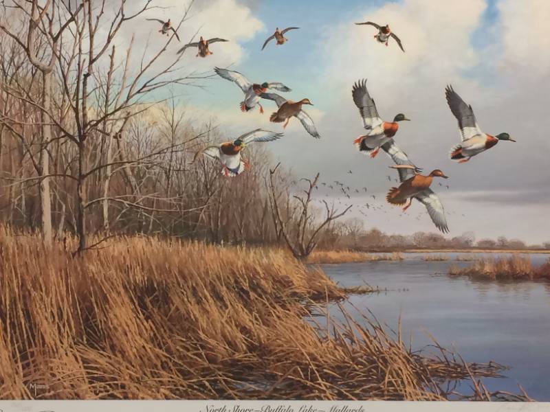 #1317 FABULOUS WATERFOWL ART PRINT #2 AUCTION - TOP NAMES JOE & JIM ...