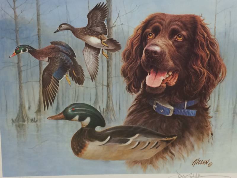 #1317 FABULOUS WATERFOWL ART PRINT #2 AUCTION - TOP NAMES JOE & JIM ...