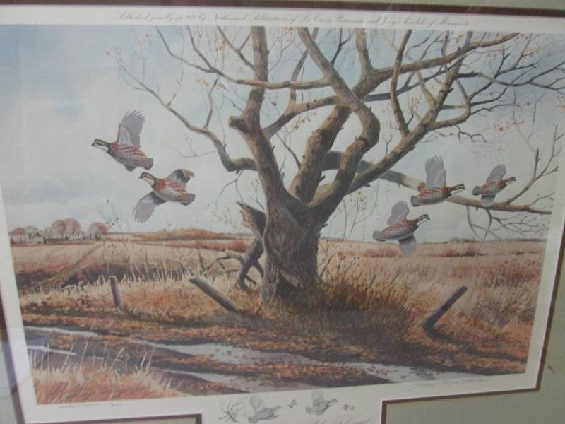 Minnesota Artist Jerry Raedeke Wildlife Prints - All Numbered 14 - Most ...