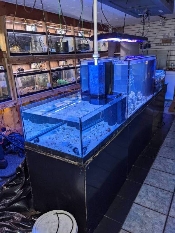 A WORLD OF FISH- Generators, Retail Fixtures, Point of Sale System ...