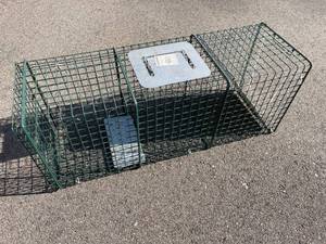 Auction Lot Results | K-BID