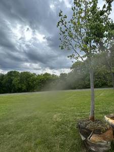 Auction Lot Results | K-BID