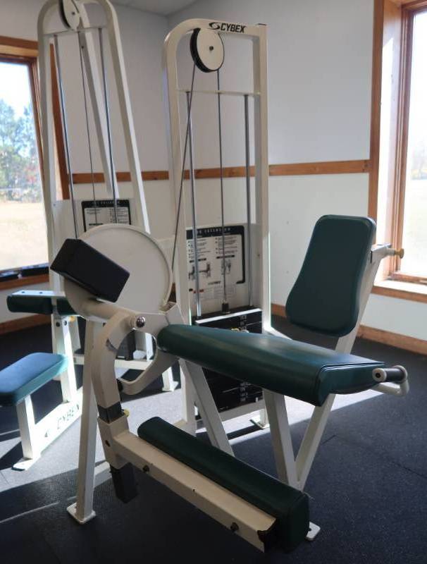 LEFTY'S ONLINE AUCTION 29 GREENWAY GYM EQUIPMENT | K-BID