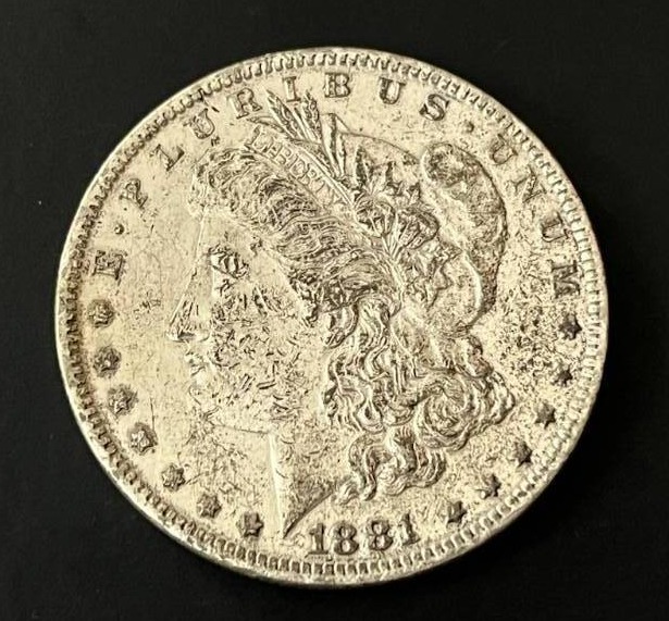Chaska Silver Coin Auction - Morgan Silver Dollars and Peace Dollars ...