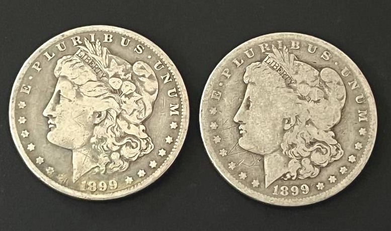 Chaska Silver Coin Auction - Morgan Silver Dollars and Peace Dollars ...